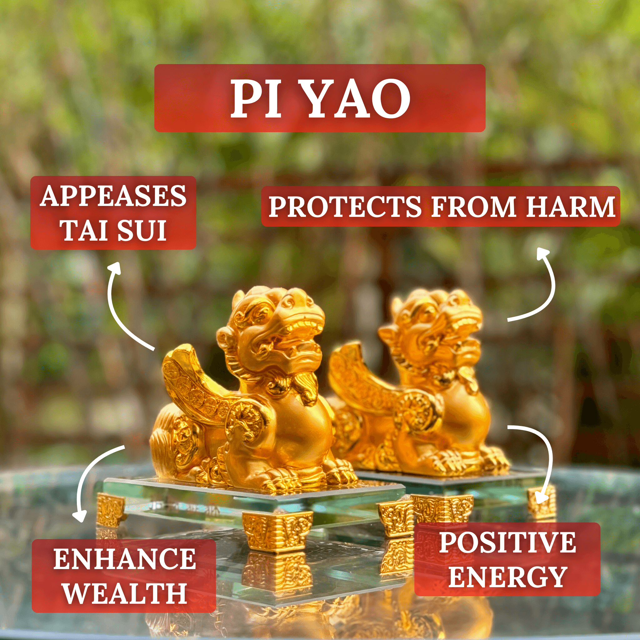 Golden Little Pi Yao / Pixiu Protection Pair 12cm - Feng Shui Charms ...